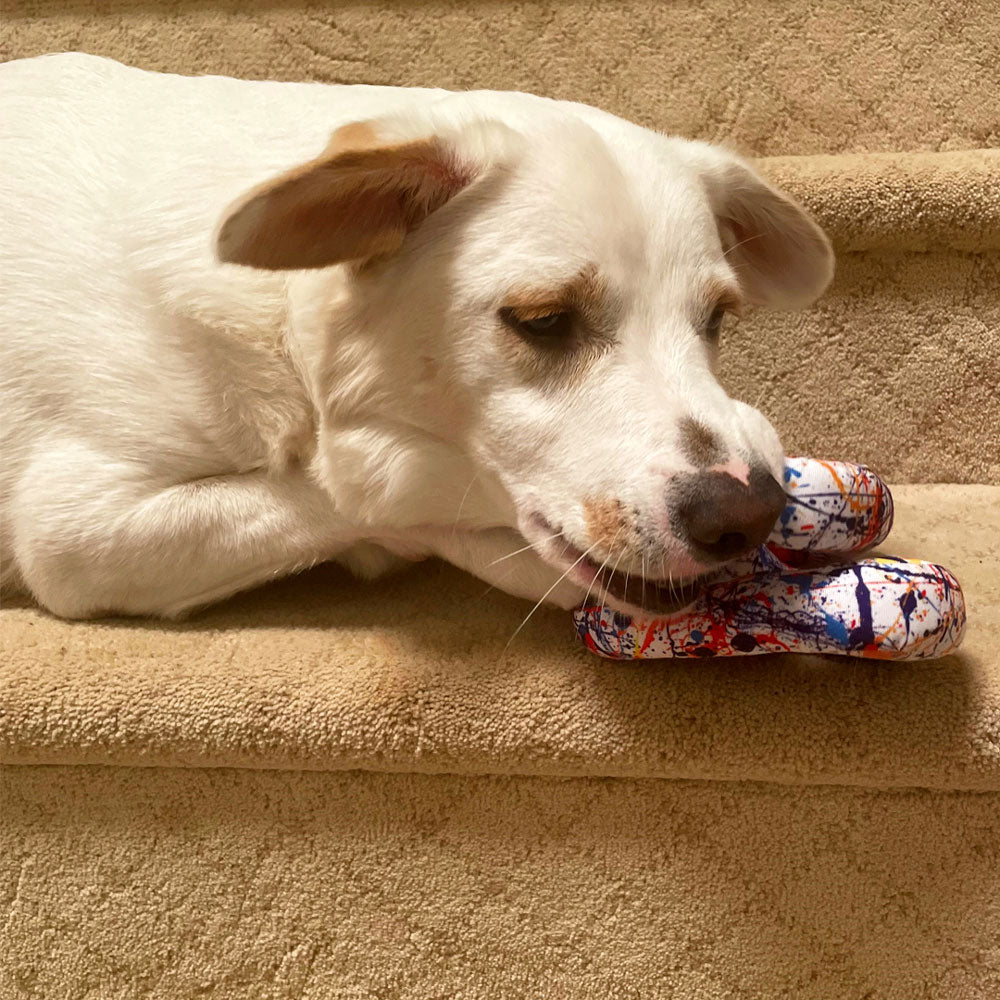 Cavall Pollock Inspired Coil – Cavall Dog Toys