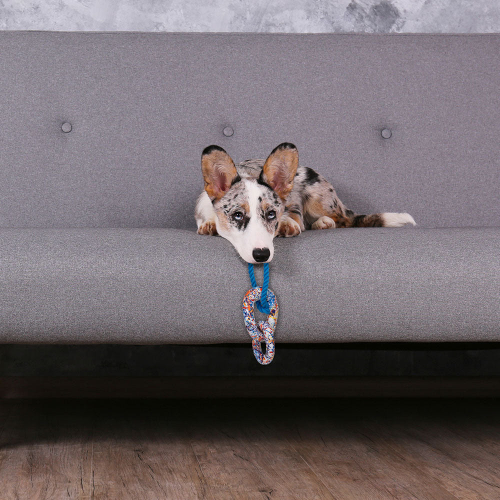 Cavall Pollock Inspired Rings and Rope – Cavall Dog Toys