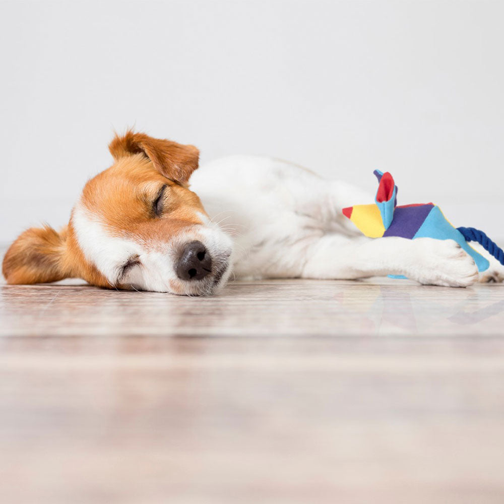 Cavall Cubism Mouse – Cavall Dog Toys