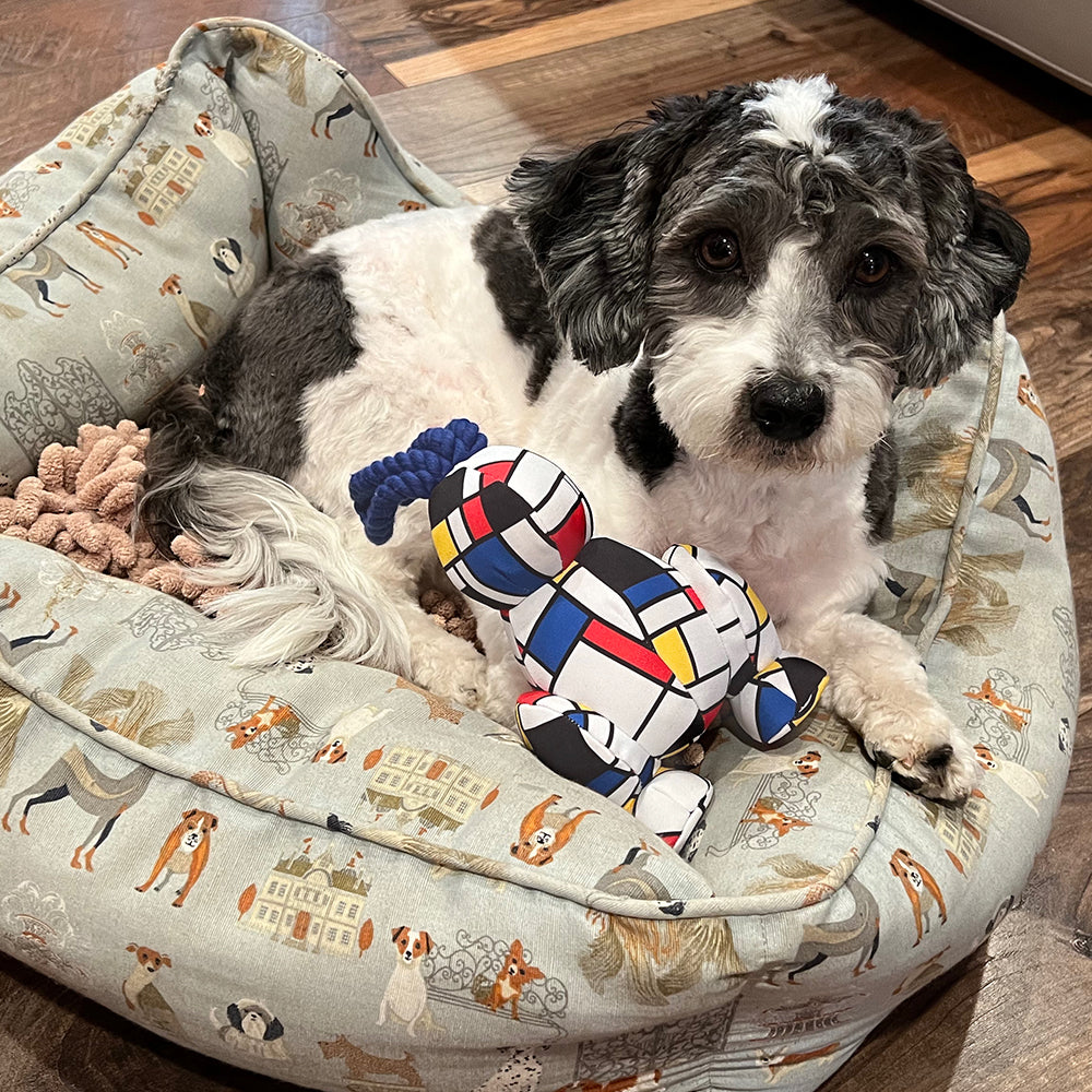 Cavall Mondrian Inspired Rabbit – Cavall Dog Toys
