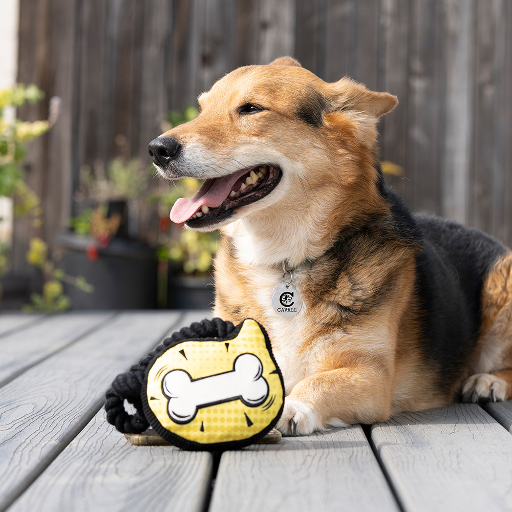 Pop Art – Cavall Dog Toys Pop Art – Cavall Dog Toys