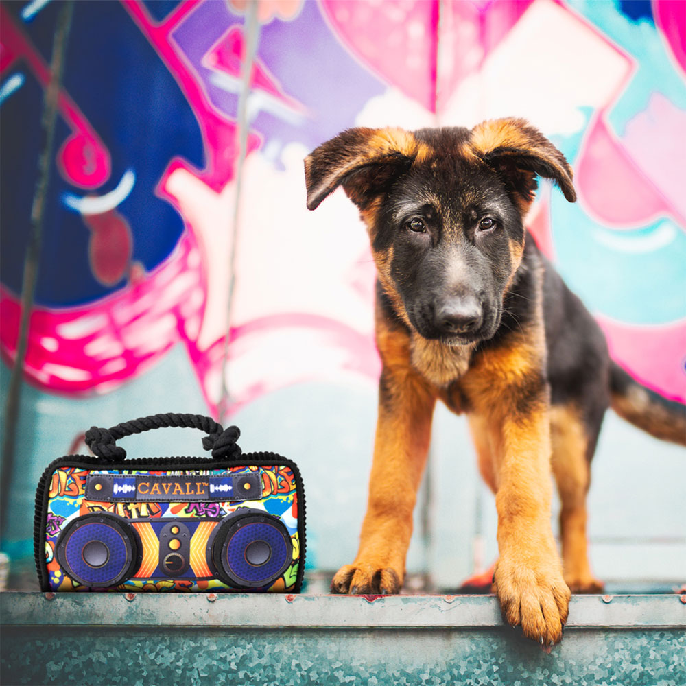 Cavall Street Art Boom Box – Cavall Dog Toys